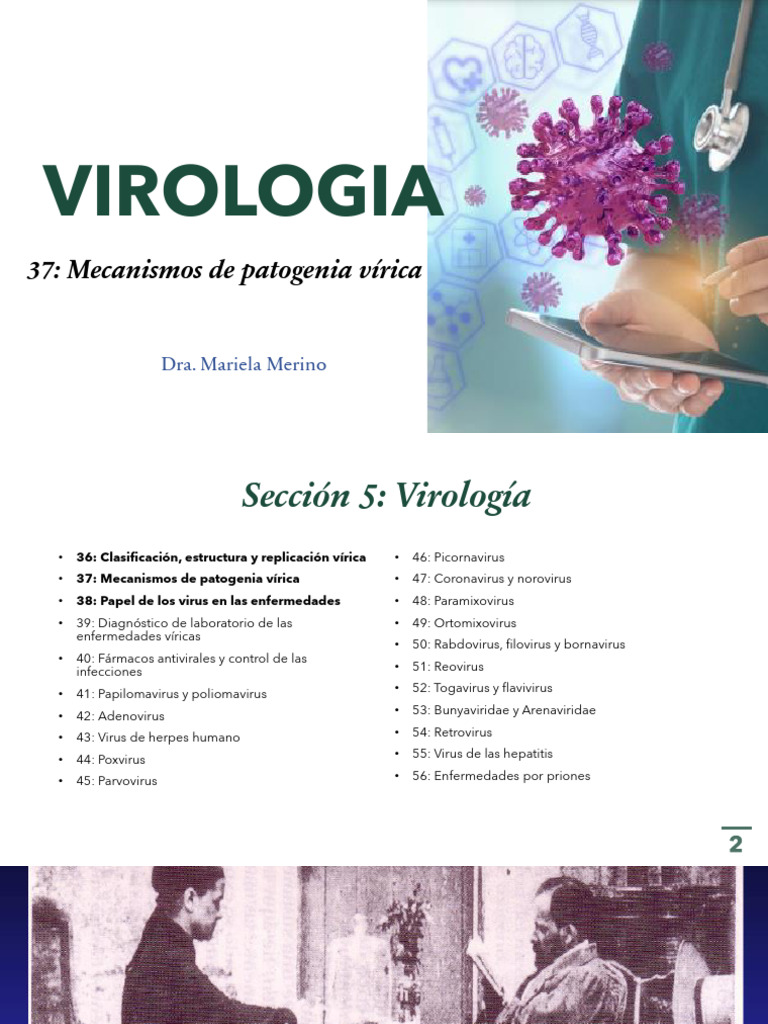 10 Mecanismos de Patogenia Vírica | PDF