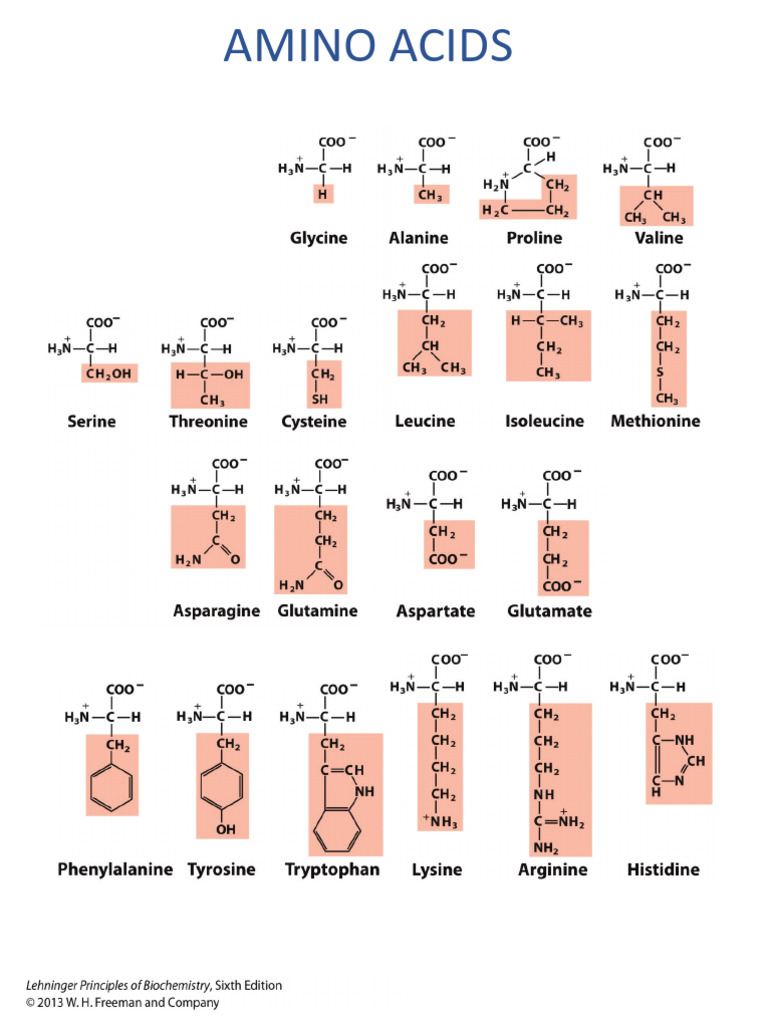 Basic Structures | PDF