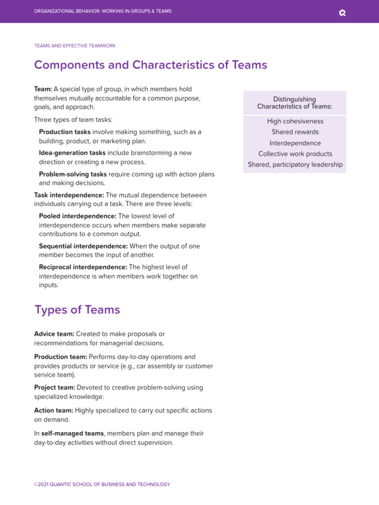 Teams and Effective Teamwork Summary | PDF