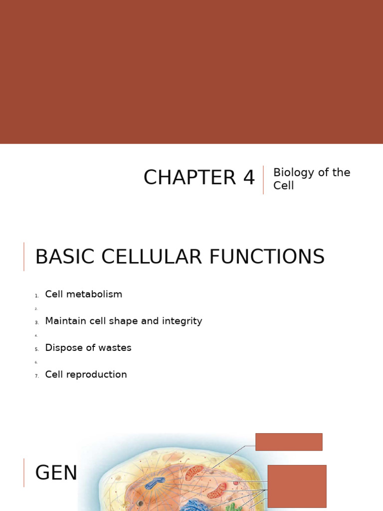 HSCI 101_Chapter 4_Fall 2023 | PDF HSCI 101_Chapter 4_Fall 2023 | PDF