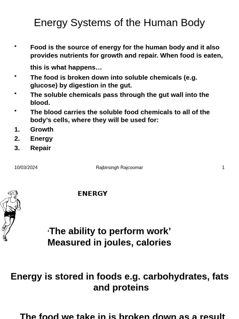 Energy Systems of the Human Body - 5(1) | PDF