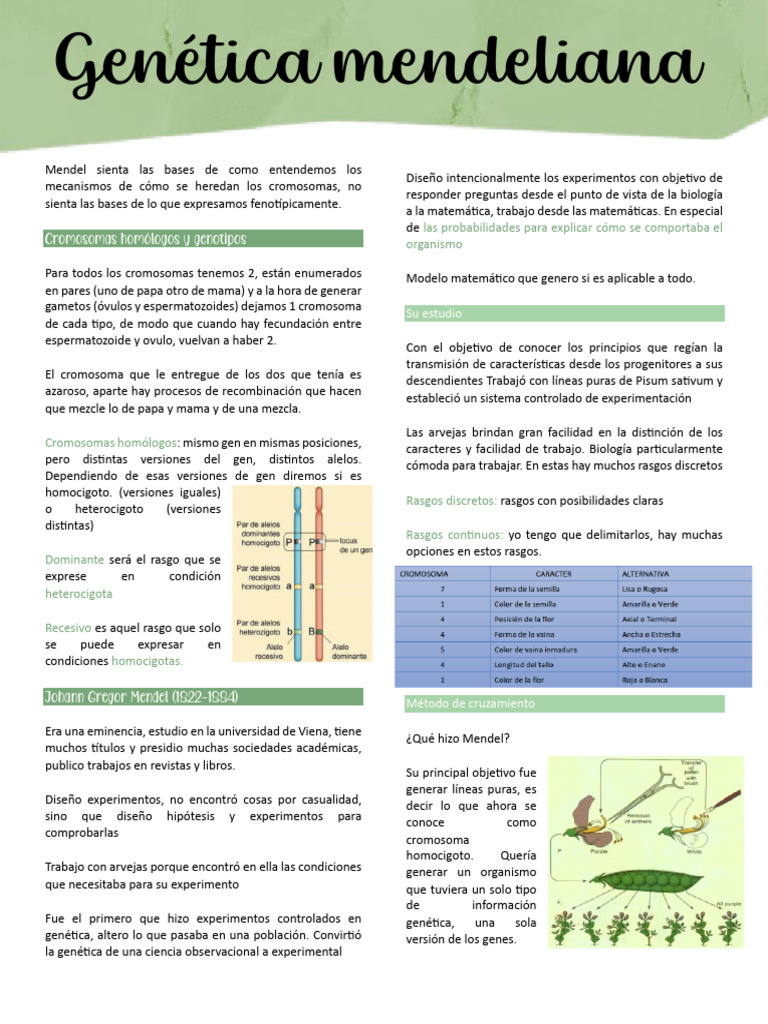 Genetica Mendeliana | PDF