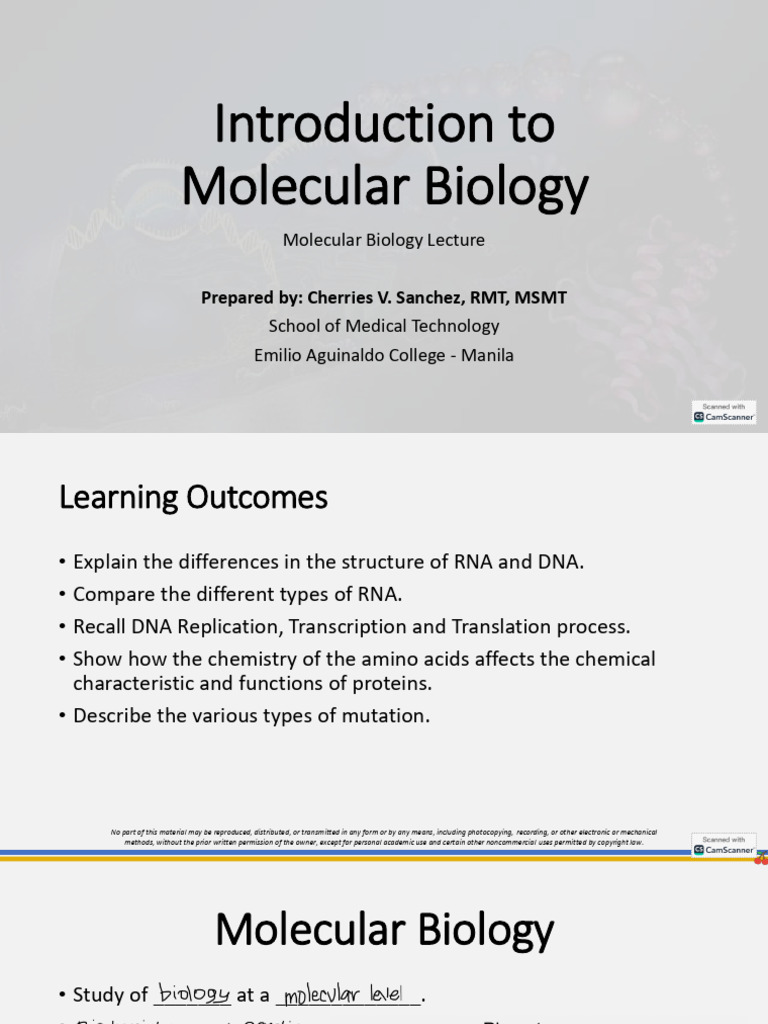 Mo1. Introduction To Molecular Biology Stu | PDF