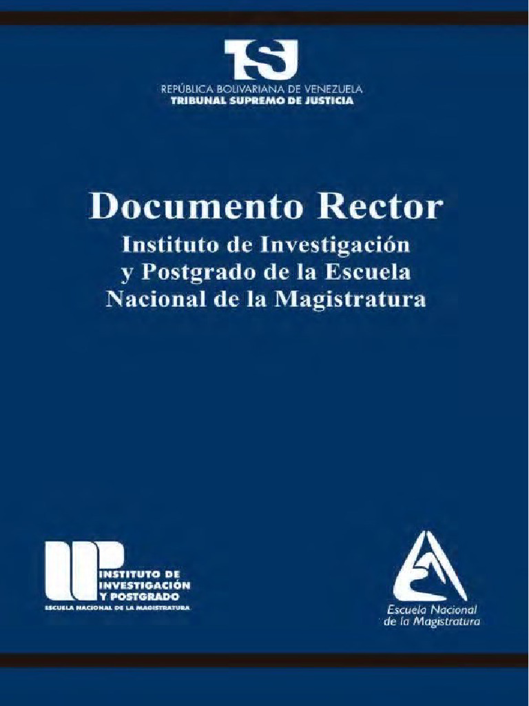 Documento Rector de IIPENM | PDF