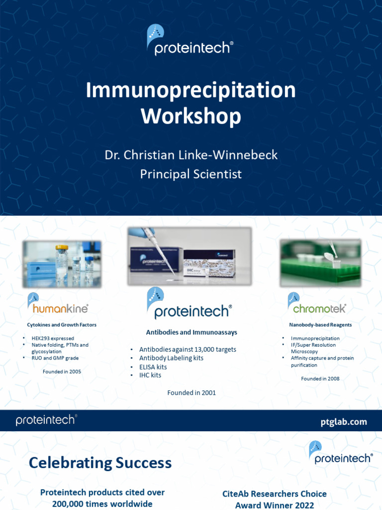 IP Workshop Slides - June 2023 | PDF