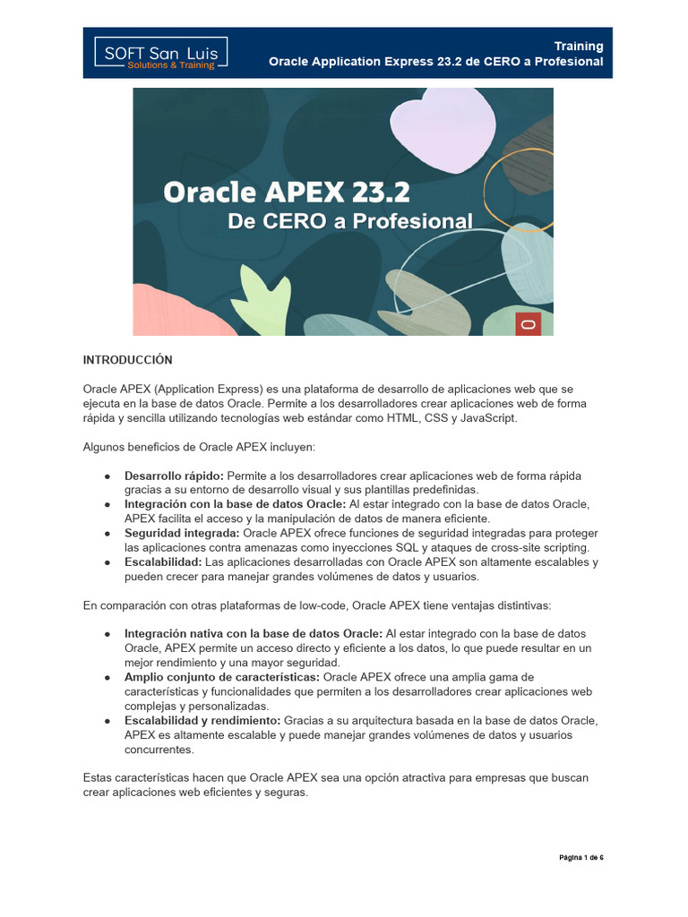 Curso Oracle APEX de Cero A Profesional - Plan de Estudios | PDF