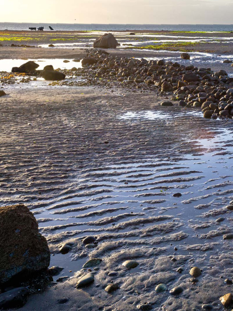 Libro Chiloe Cap2 003 | PDF