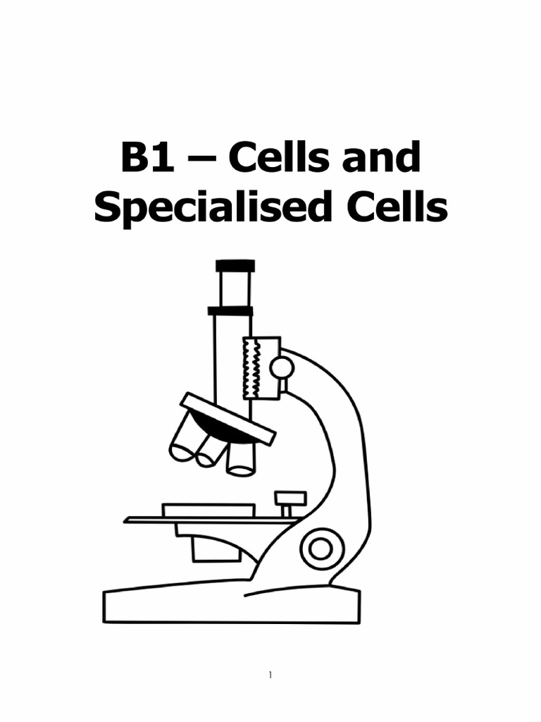 My Science Booklet | PDF