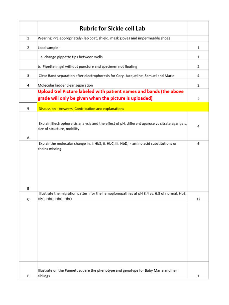 Sickle Cell Rubic | PDF