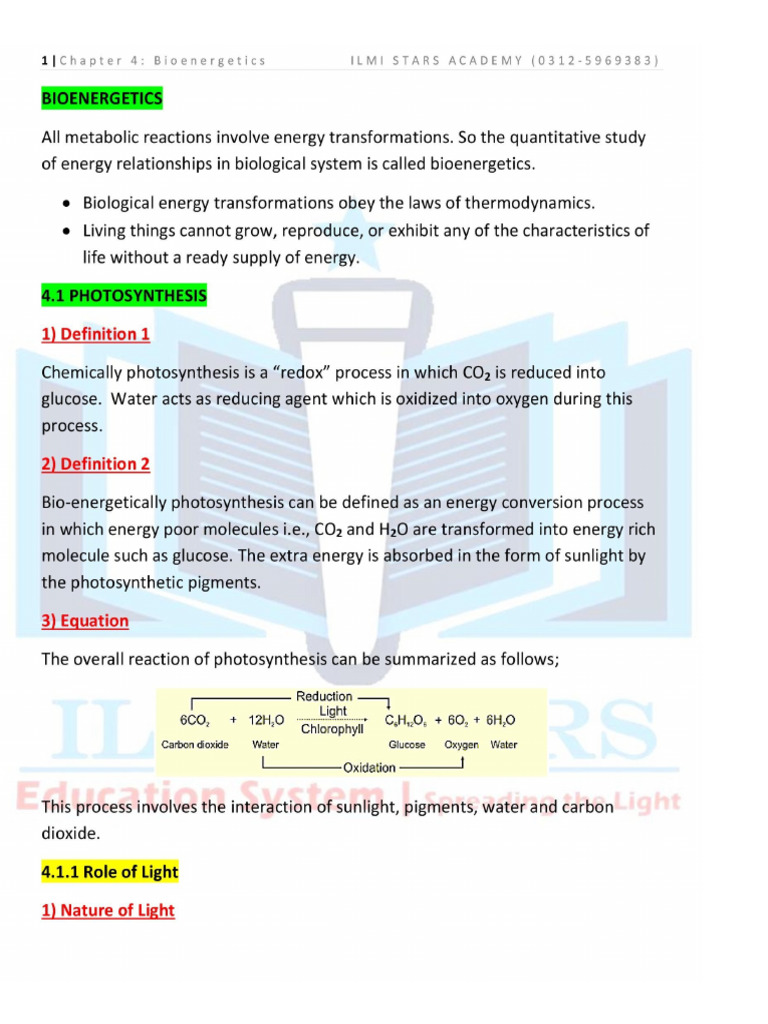 Class 11 Biology Chapter 4 Bioenergetics | PDF