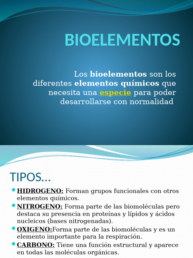 BIOELEMENTOS Joanna | PDF