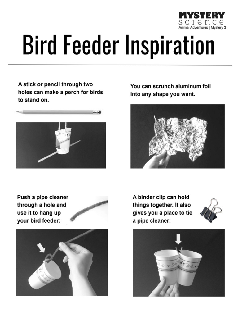 Bird Feeder Inspiration | PDF