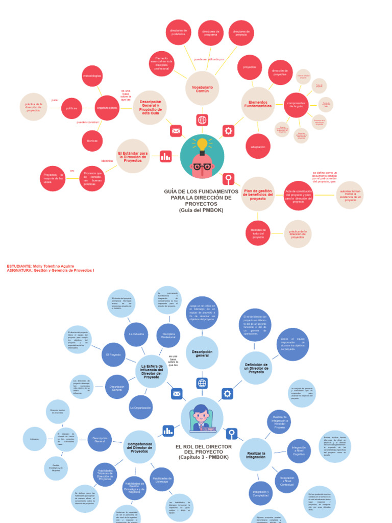 PMBOK CAP. 1 MAPA MENTAL | PDF