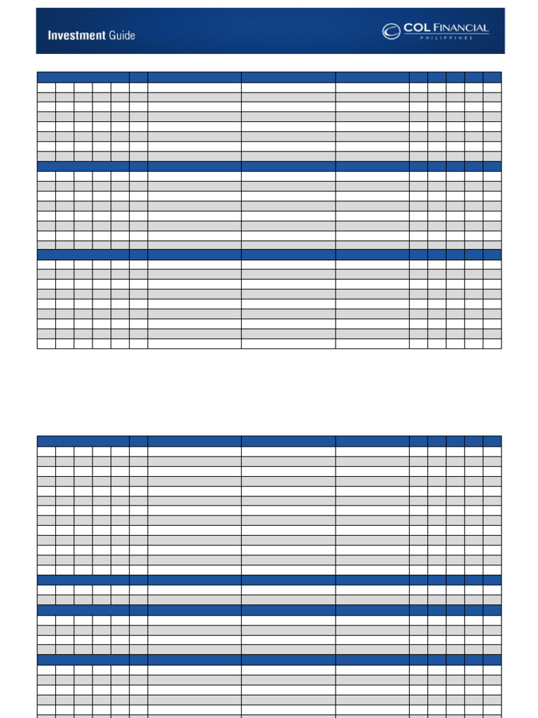 Investment Guide | PDF