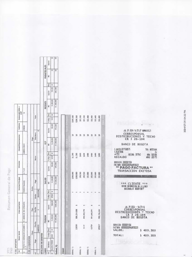 Escáner 20240729 | PDF