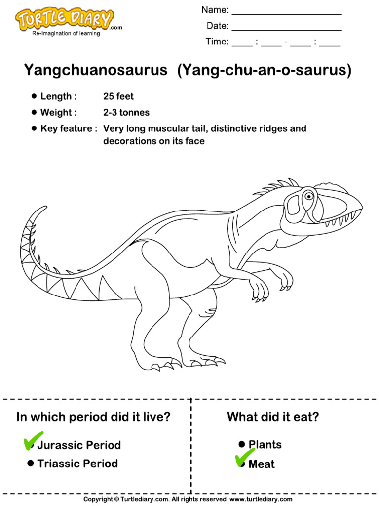 Answer Facts On Dinosaurs For Kids | PDF