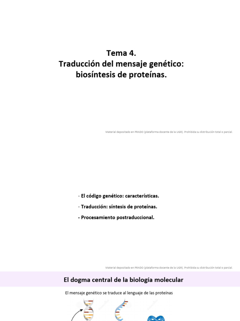 Tema4 Traduccion | PDF