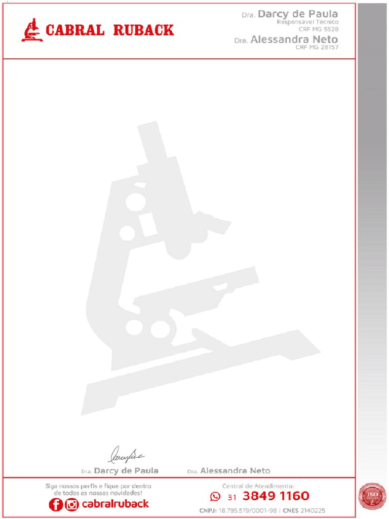 Samanta Alves Oliveira Sousa | PDF