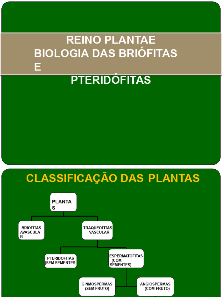 Briofitas Pteridofitas 1 | PDF
