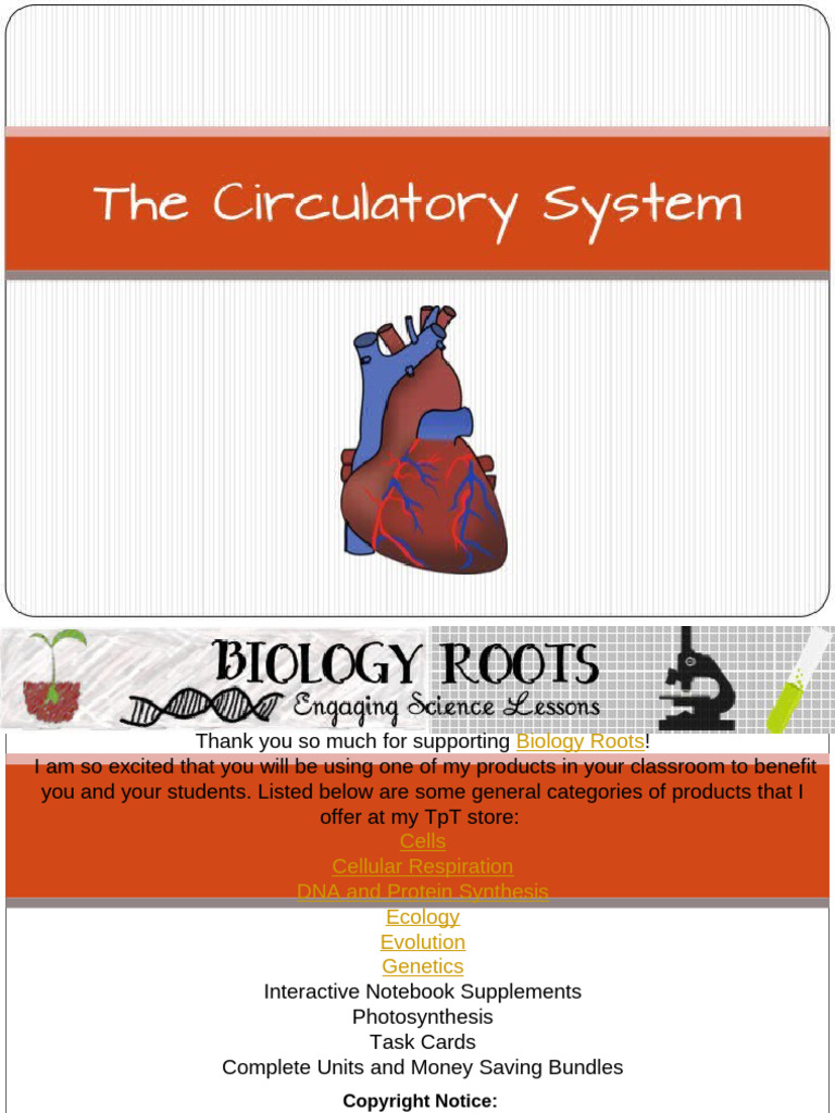 Circulatory System + Blood | PDF