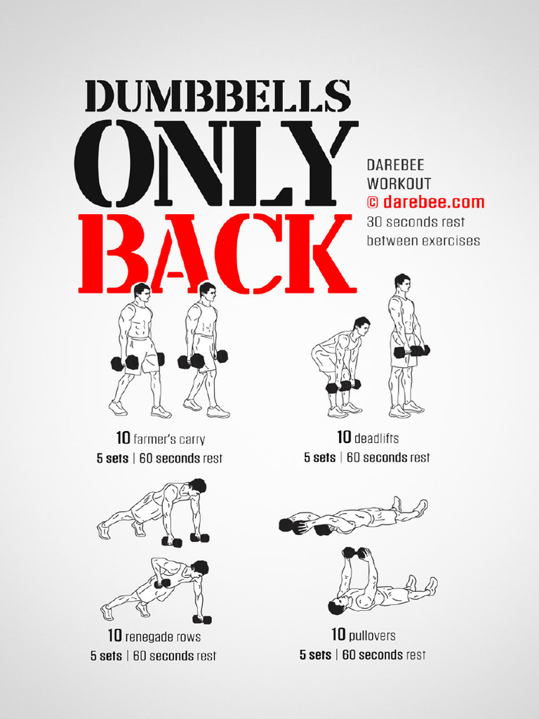 Dumbbells Only Back Workout | PDF