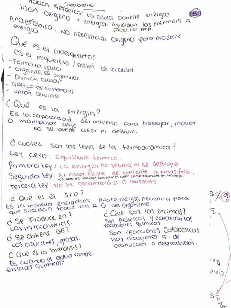 Respiración Aerobia y Anaerobia | PDF