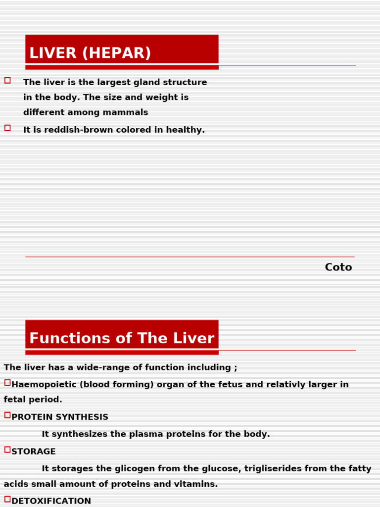 Week 13 - Digestive System (Digestive Glands) | PDF