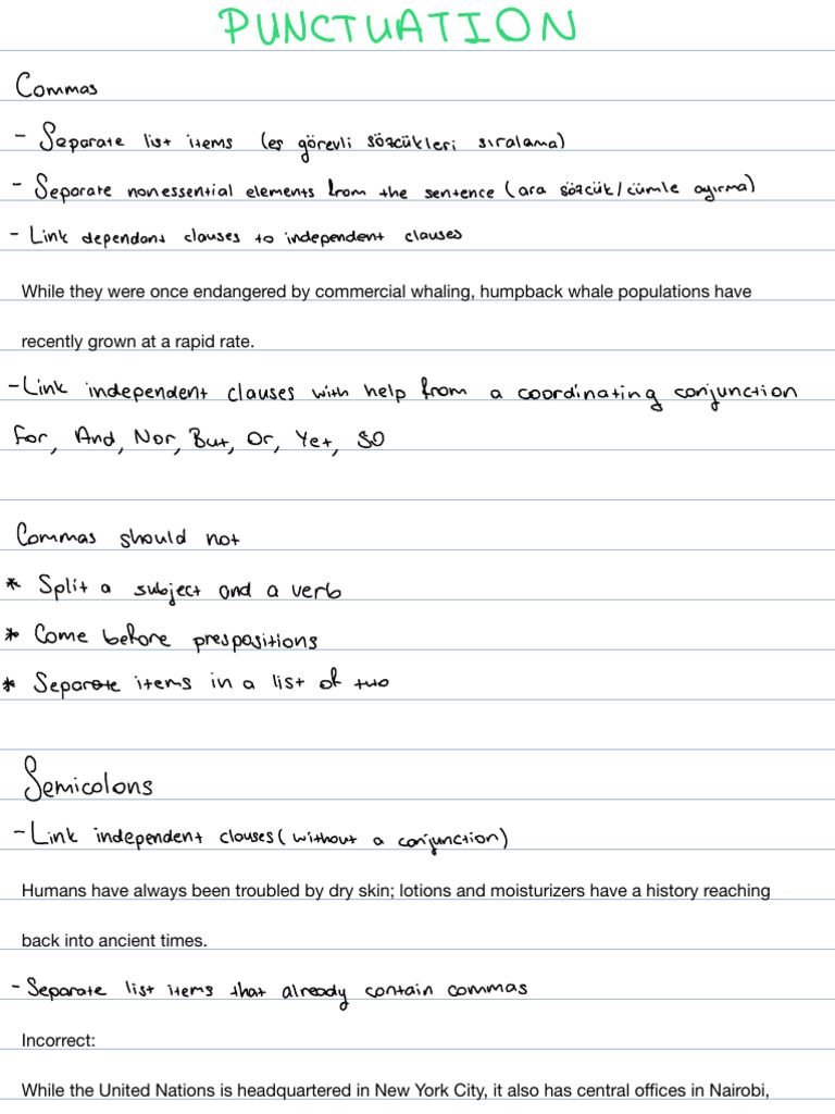 Punctuation Notes | PDF