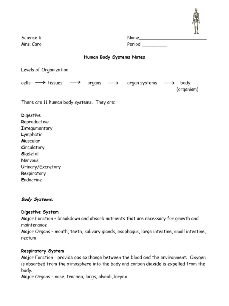 Human_Body_Systems_Notes_-_Filled_In | PDF