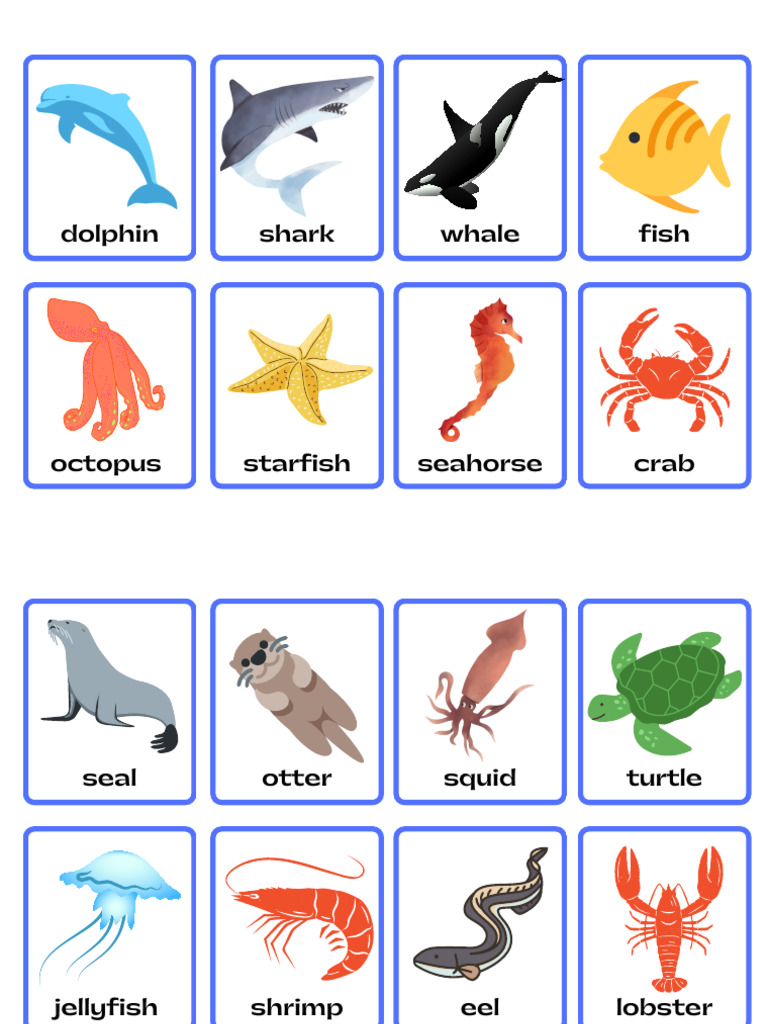Sea Animals Flashcards | PDF