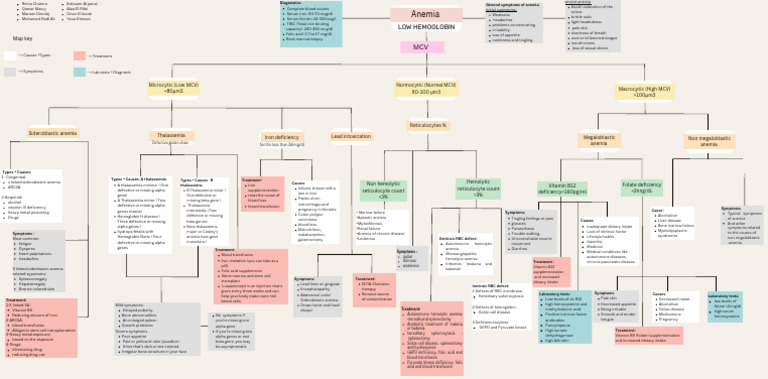 Anemia Concept Map | PDF
