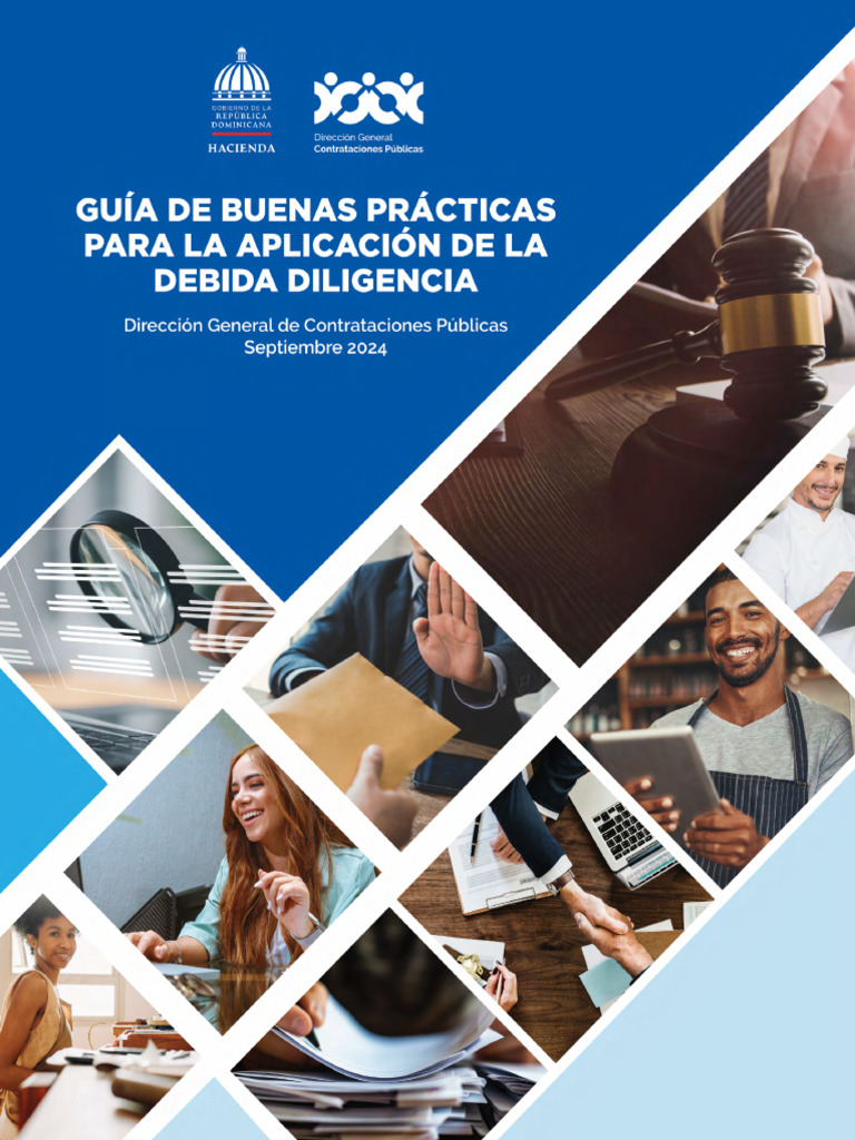 Guia de Buenas Practicas para La Aplicacion de La Debida Diligencia | PDF | Evaluación