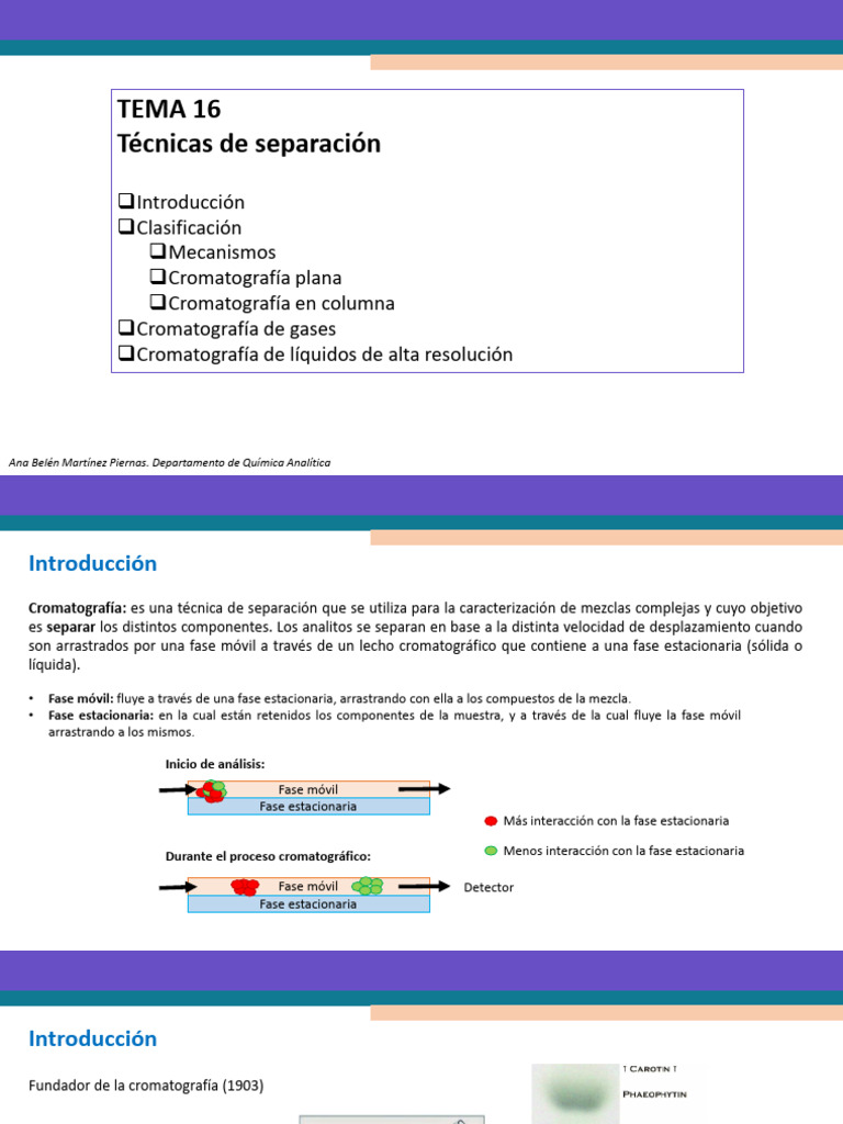 Tema 16 | PDF | Cromatografía | Cromatografía de gases