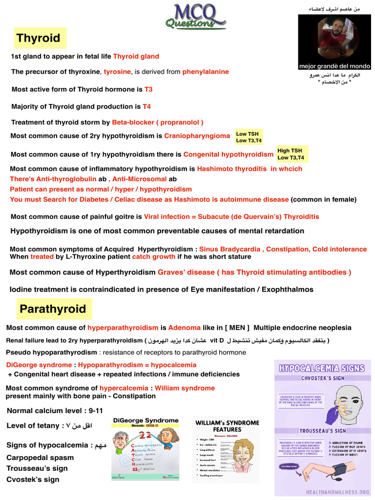 Thyroid Mcq Pdf