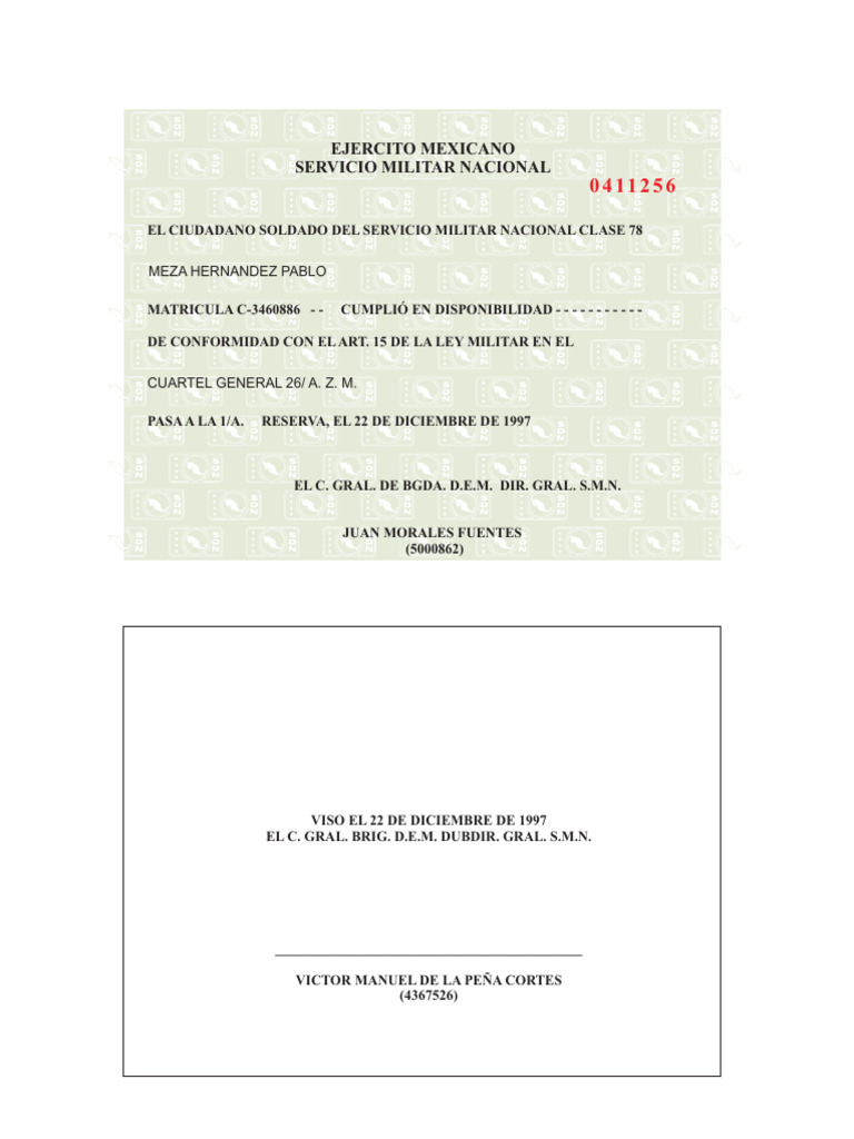 cartilla Militar | PDF