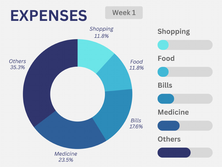 Blue and White Weekly House Expenses Chart Graph | PDF