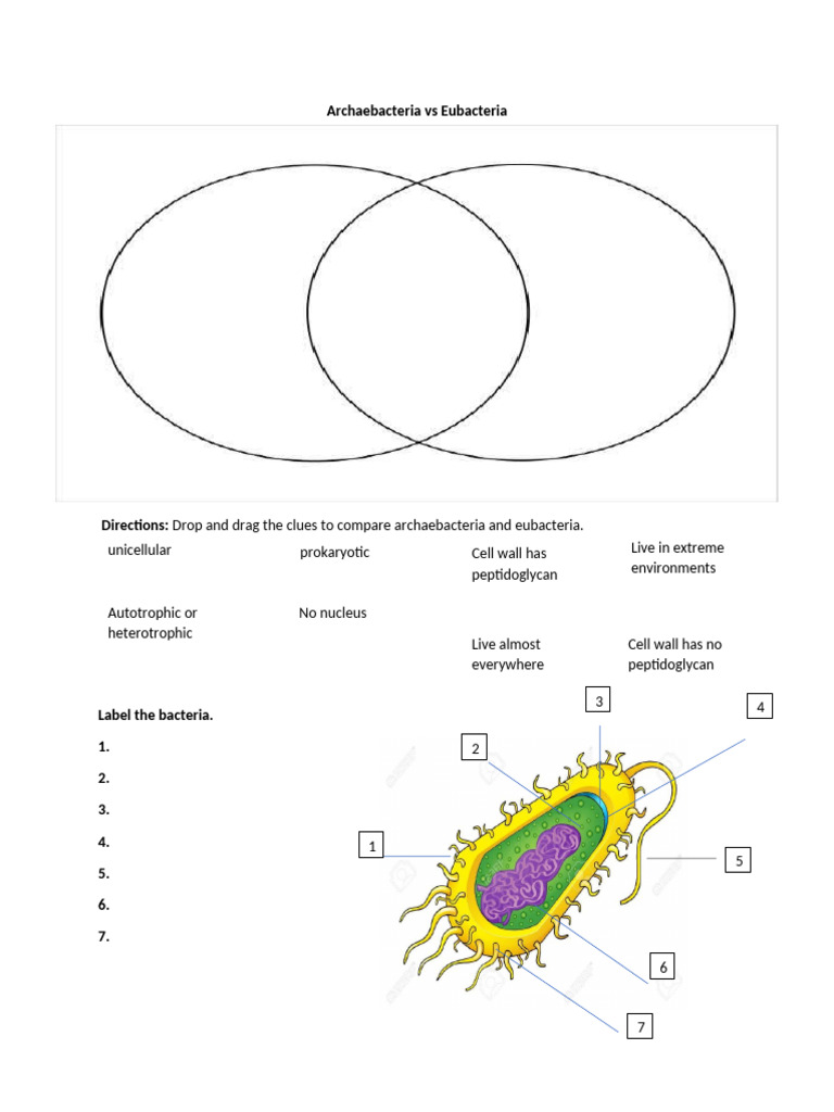 De'Asia Benjamin - Archaebacteria Vs Eubacteria | PDF | Science & Mathematics