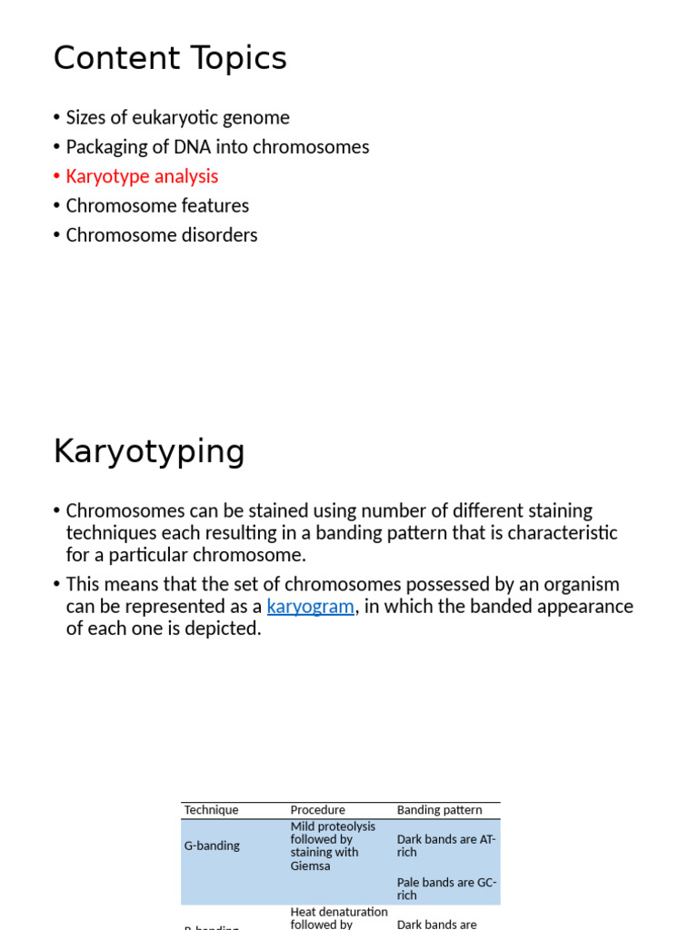 GENE330 Lecture 7c Karyotyping | PDF