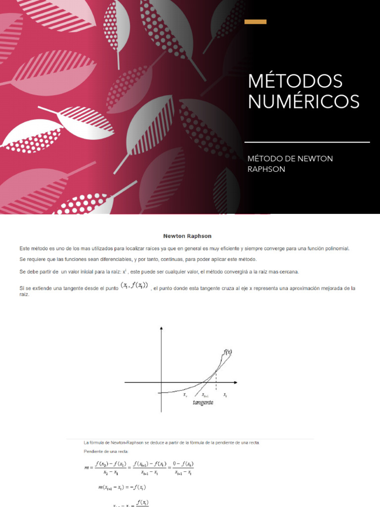 Metodos Newton Raphson y Método de La Secante | PDF