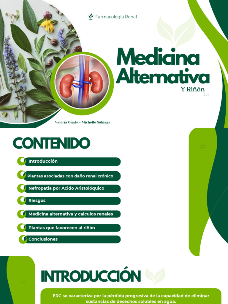 Farmacología Renal, Michelle Subiaga: Valeria Oñate PDF | PDF