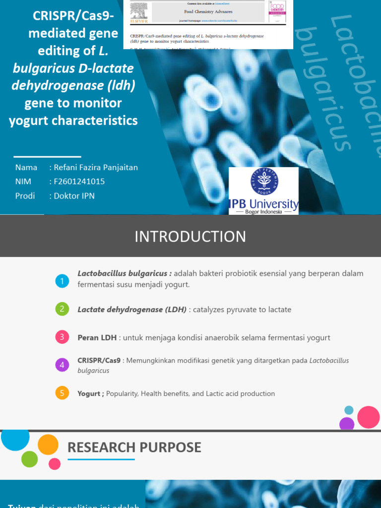 REVIEW JURNAL MODIFIKASI GEN LDH pada Lactobacillus Bulgaricus | PDF