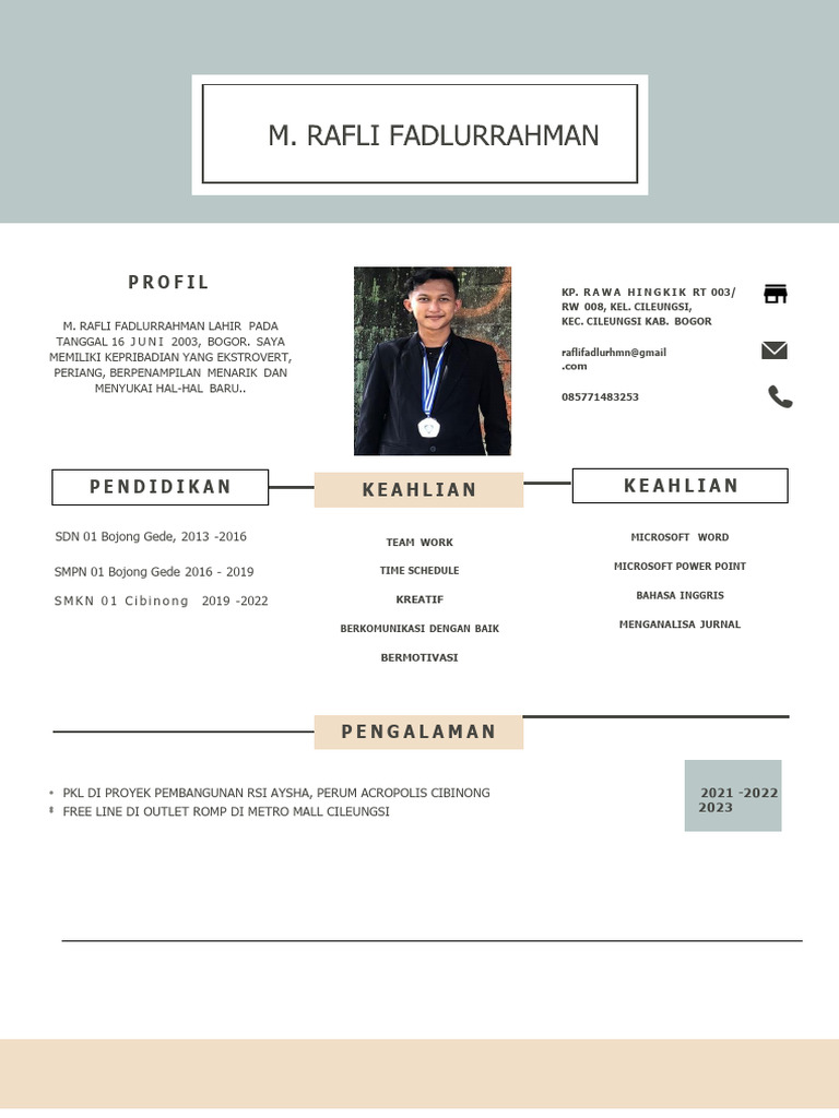 CV Abang | PDF