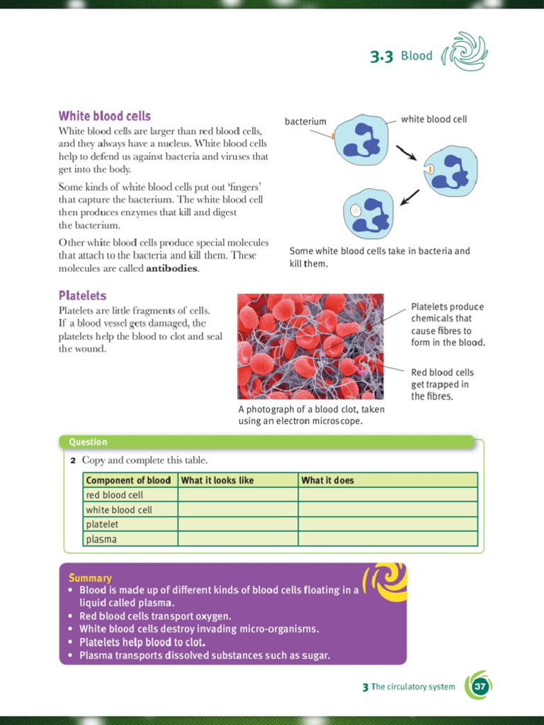 Cambridge Checkpoint Science Coursebook 8 PDF 5 | PDF