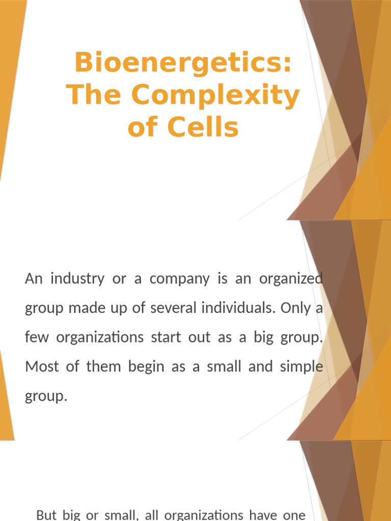 Complexity of Cell | PDF
