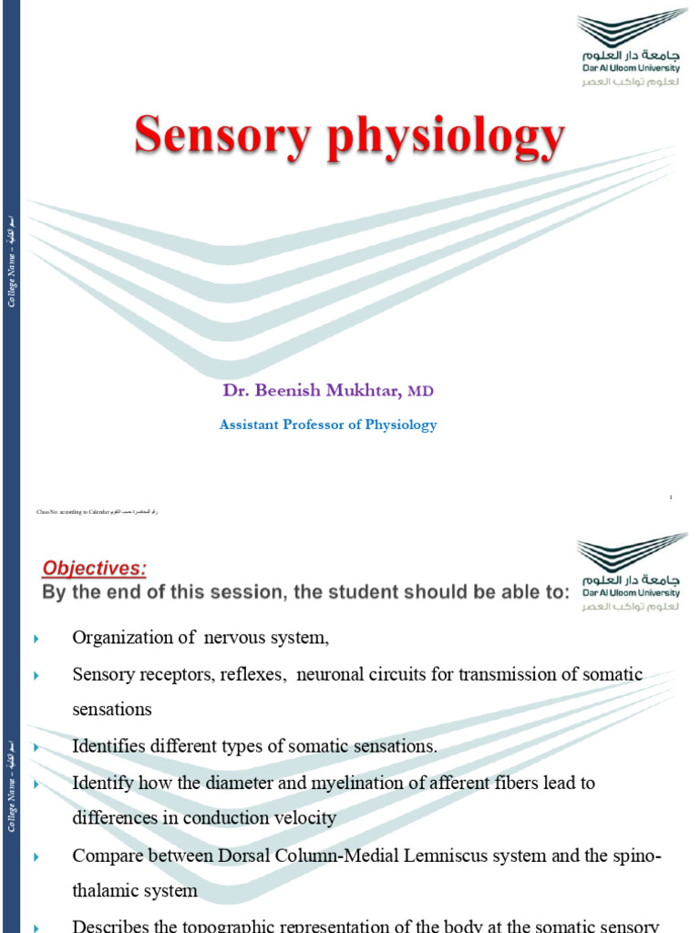 Sensory Physiology | PDF