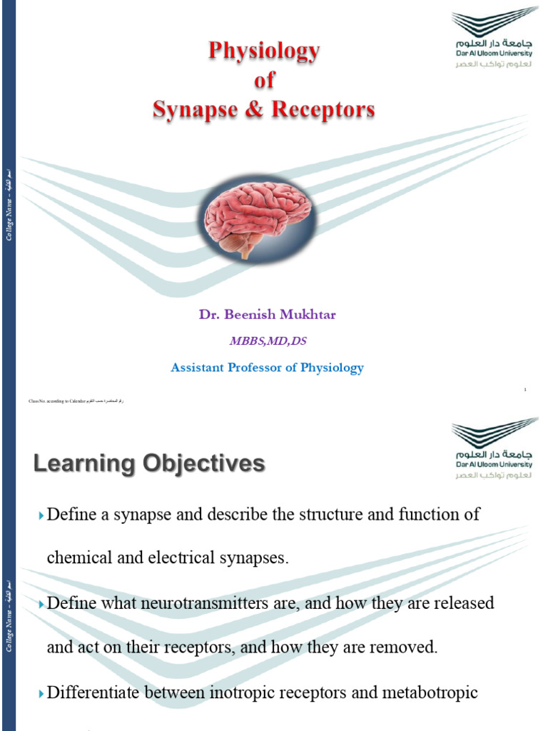 Synapse & Receptors | PDF