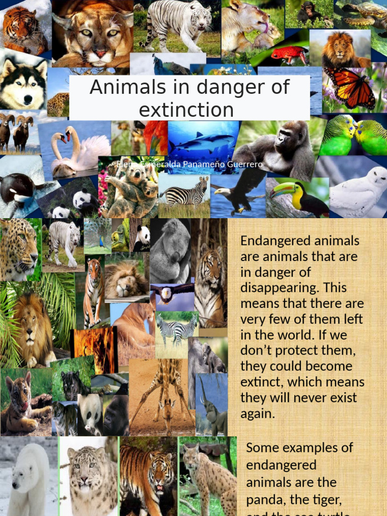 Animals in Danger of Extinction | PDF