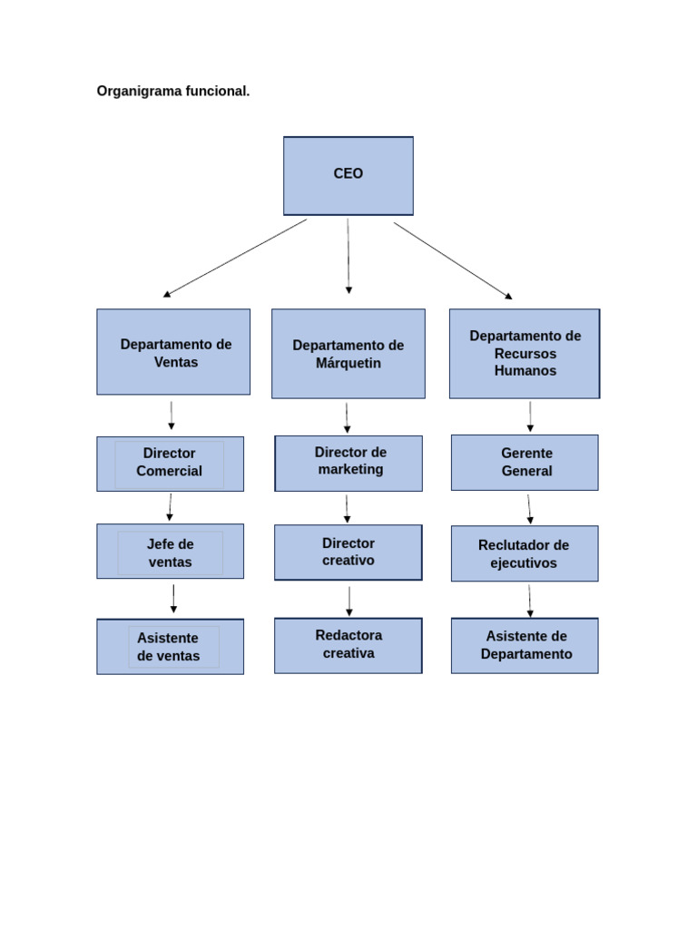 Organigrama Funcional | PDF