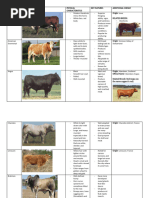 Animal Science Terms | PDF | Chicken | Cattle