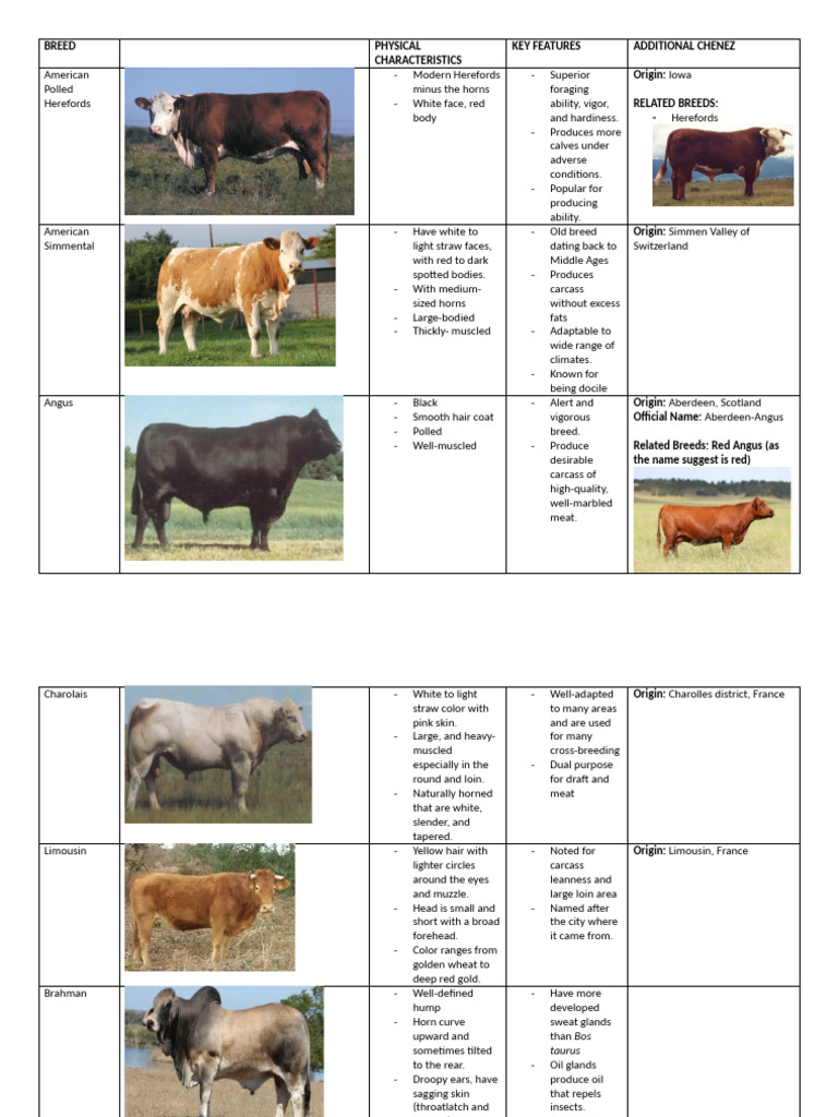 Cattle Breeds and Types | PDF